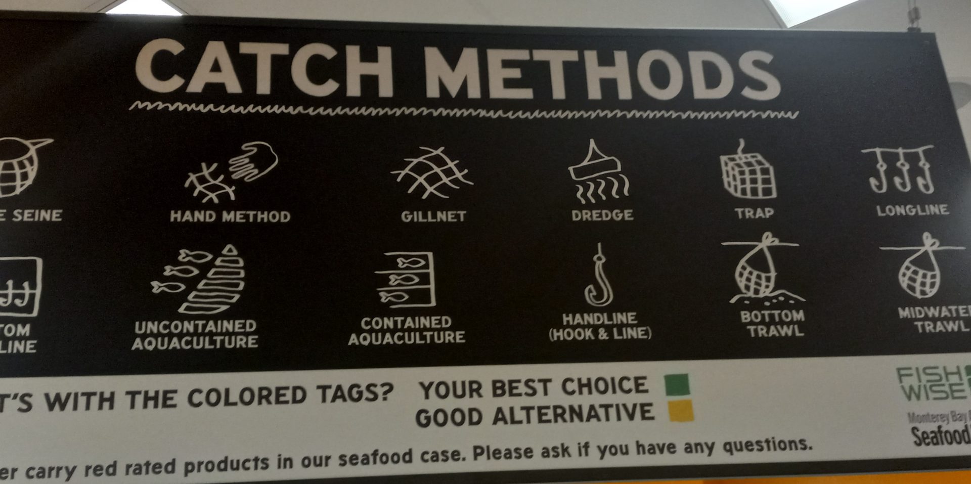 Halibut…. The Real Chicken of the Sea! – MERMAID GYPSY